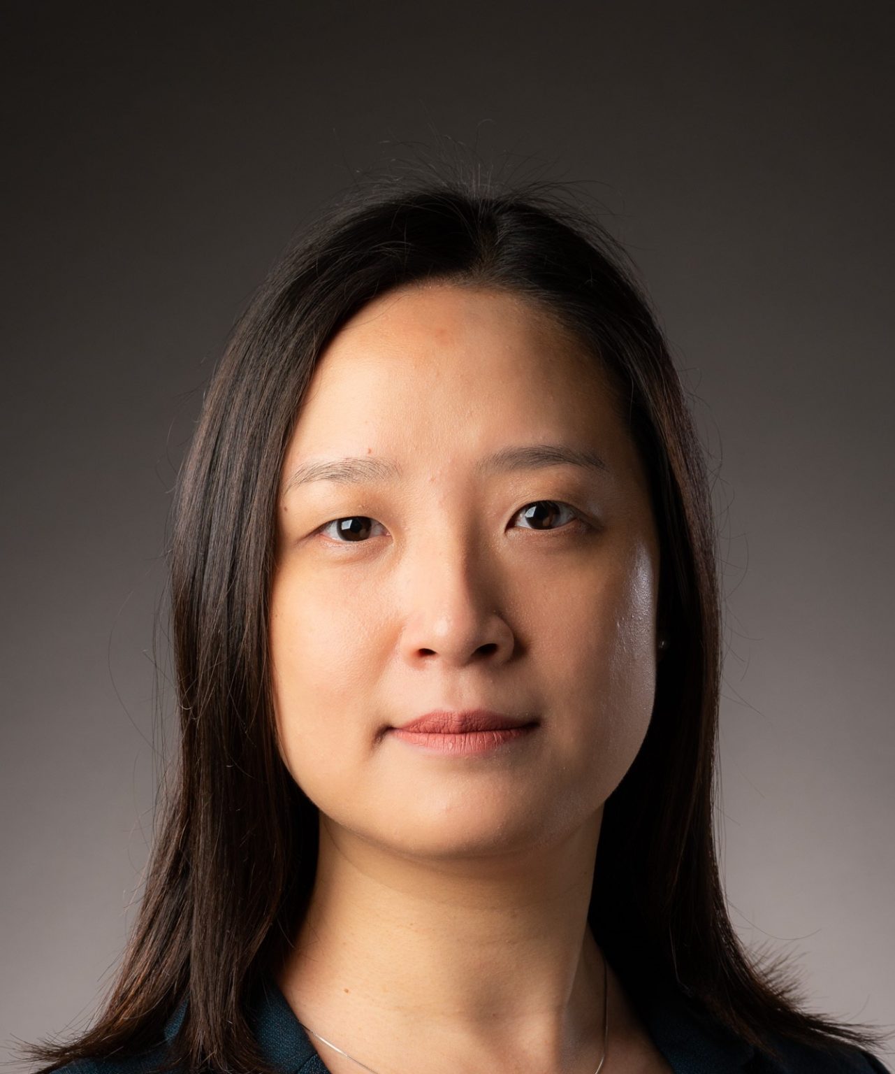 The Team - ACE - Automatic Control Engineering Network